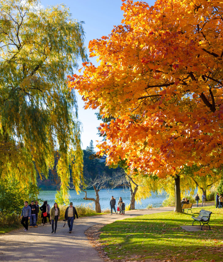 Home - Junction House Condos: OFFICIAL WEBSITE by Slate Asset ...